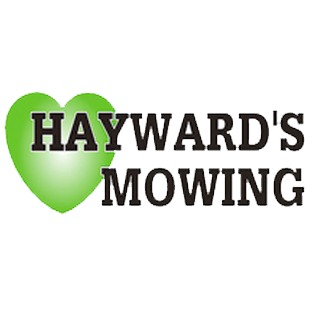 Hayward's Tree Services, Pinner | 42 reviews | Tree Surgeon - FreeIndex
