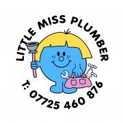 Little Miss Plumber, Wallsend | Industrial Plumbing and Heating Company ...