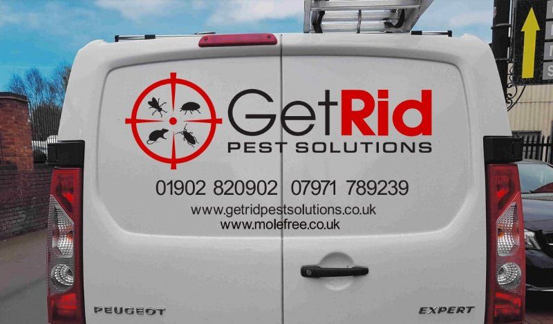 Mole Free Pest and Vermin Control, Wolverhampton | Pest Control Company ...