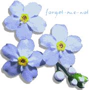 Forget-Me-Not Grave Tending Services, Newcastle upon Tyne | Grave Care ...