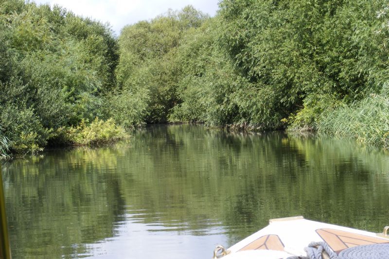 Grove Ferry River Trips, Canterbury | 5 reviews | Tourist Attraction ...
