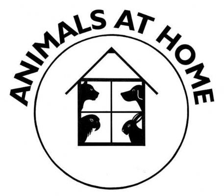 Animals At Home (National Forest) Ltd, Burton-on-Trent | Pet Service ...