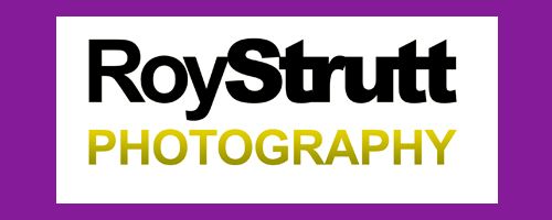 Roy Strutt Photography, Ongar | Wedding Photographer | 83 reviews ...
