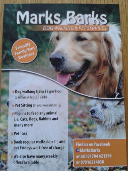 Marks Barks Dog Walking, Southport | 15 reviews | Dog Walker - FreeIndex