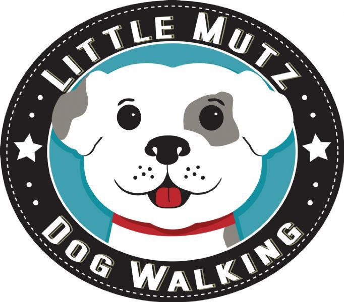 Little Mutz Dog Walking and Pet Sitting, Whitley Bay | 24 reviews | Dog ...