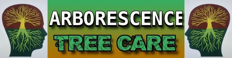 Arborescence Tree Care , Northampton | Arboriculturalist - FreeIndex