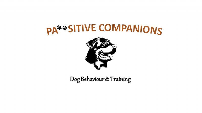 Pawsitive Companions, Edinburgh | 11 reviews | Dog Behaviour Expert ...