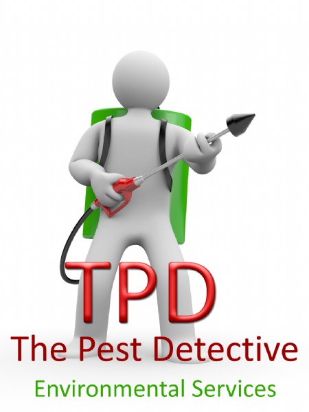 Pest Detective, Poole | Pest Control Company - FreeIndex