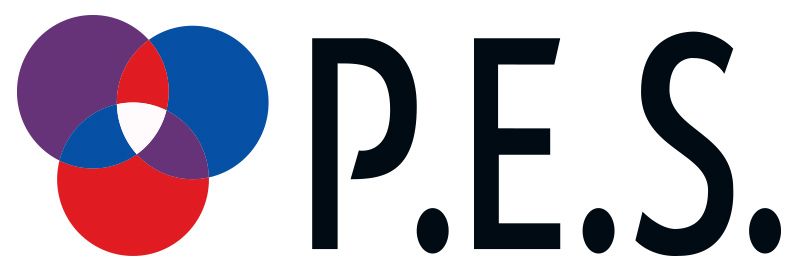 PES Fire & Security Systems, Swansea | Intruder Alarm System Supplier ...