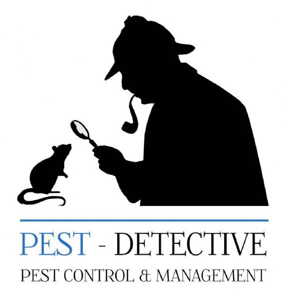 Pest Detective, Louth | Pest Control Company - FreeIndex