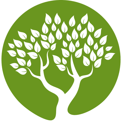 York Tree Surgery, York | Tree Surgeon - FreeIndex